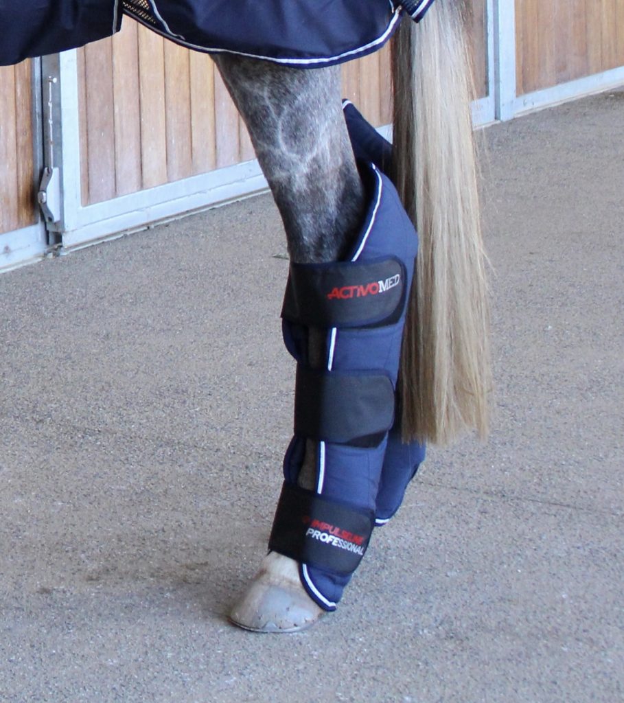 Equiband System Australia - Core Strengthening And Movement Retraining ...